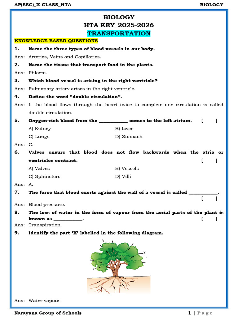 03 Biology Life Processes Hta Key 2025-26 (Transportation) | PDF ...