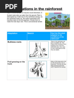 Molave Tree: Benefits and Growing Guide | PDF | Trees | Plants