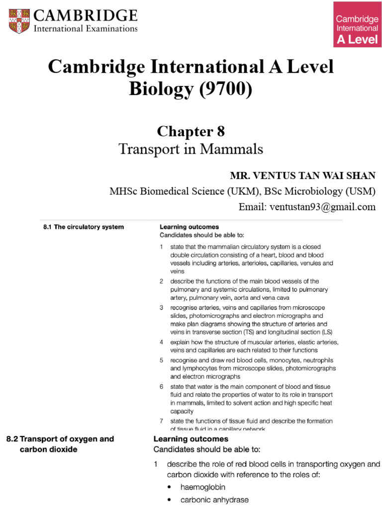 A Level Biology Chapter 8 Transport in Mammals | PDF | Heart Valve ...