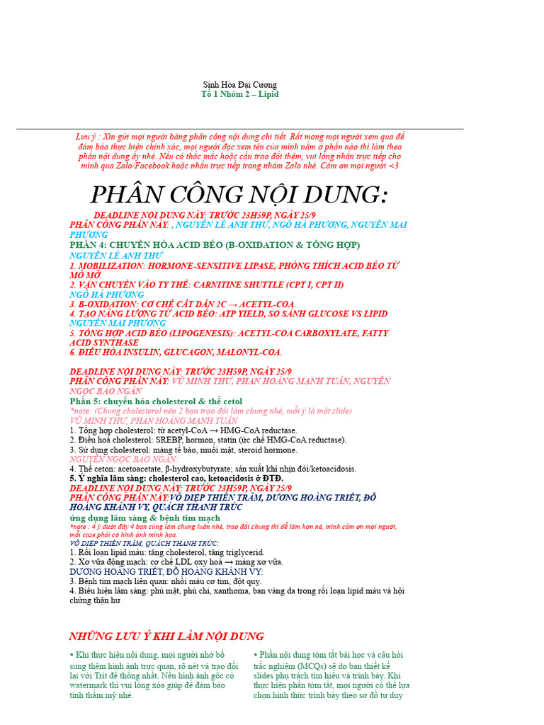 Good Chunk | PDF