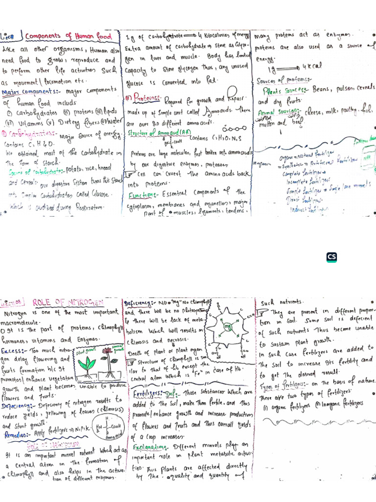 Biology Lectures | PDF