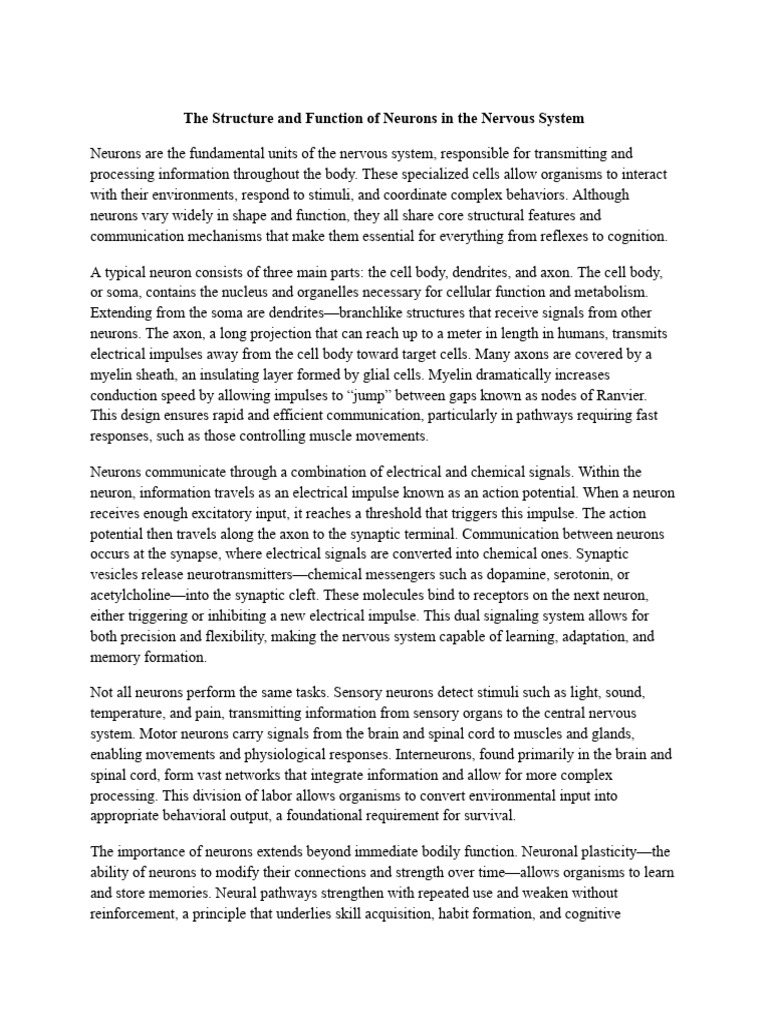 The Structure and Function of Neurons in the Nervous System | PDF ...