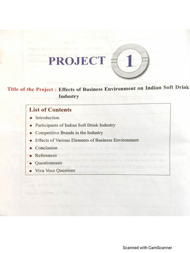 Project On Business Environment | PDF