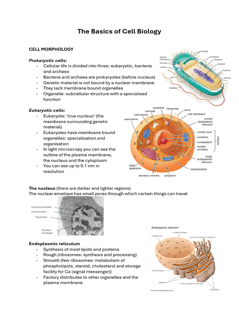MCB Final Notes 2 | PDF | Complementary Dna | Cell Membrane