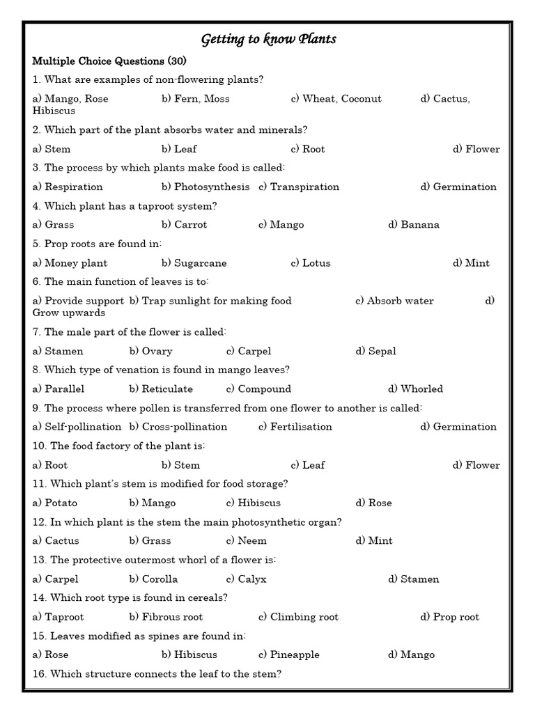 Getting to Know Plants | PDF | Leaf | Flowers