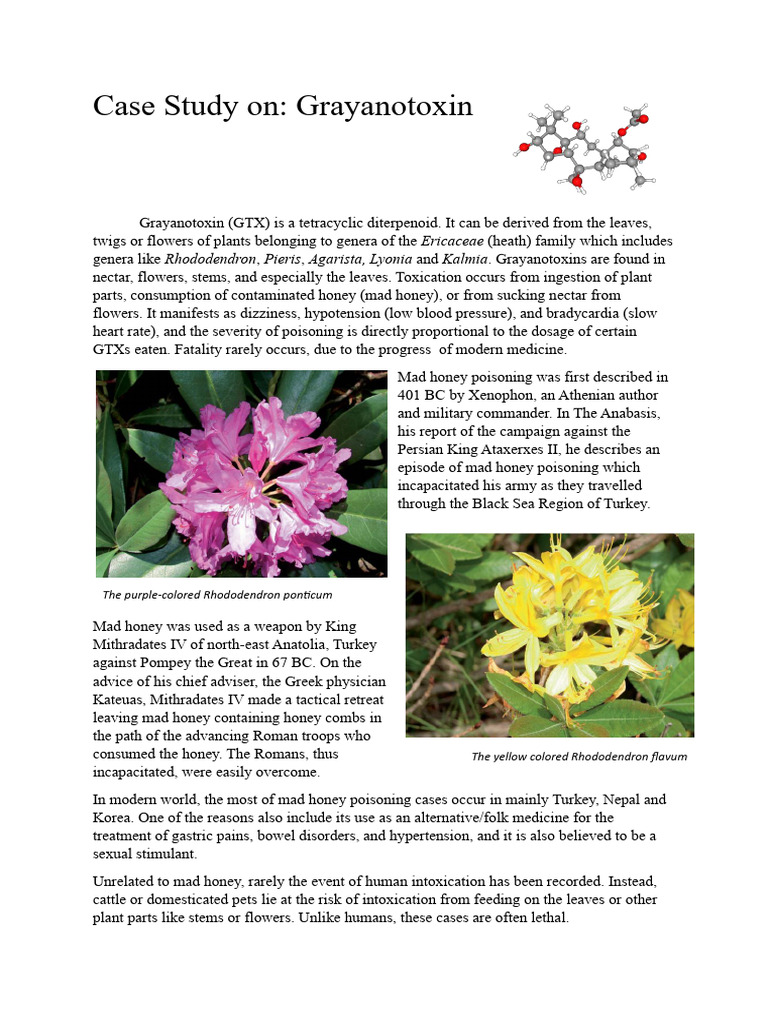 Grayanotoxin Swastik 056 | PDF