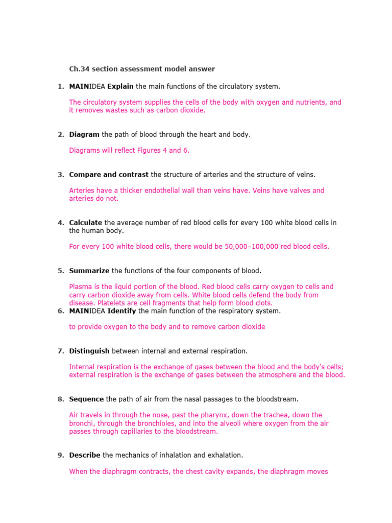 Ch.34 Section Assessment Model Answers | PDF | Respiratory System | Blood