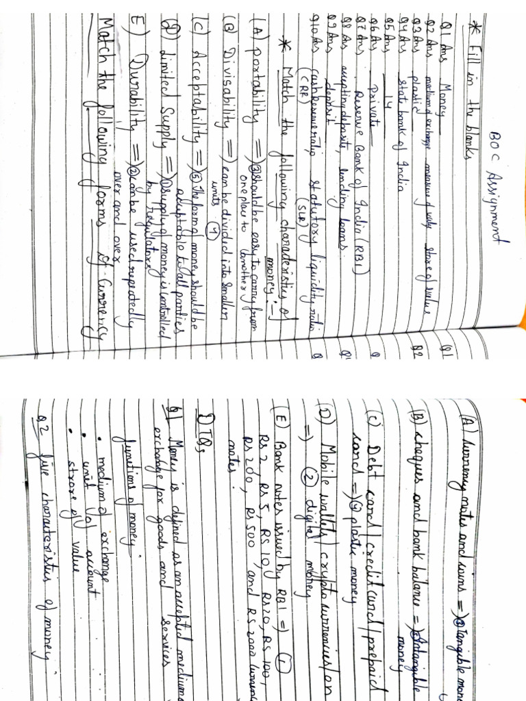 BOC Assignment | PDF