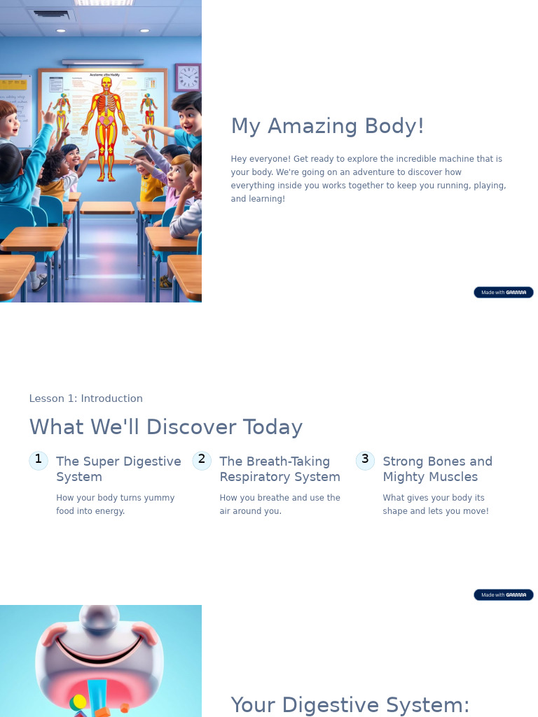 My Amazing Body | PDF | Human Digestive System | Respiratory System