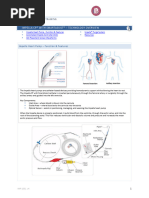 Impella Insertion Training Guide | PDF | Catheter | Heart