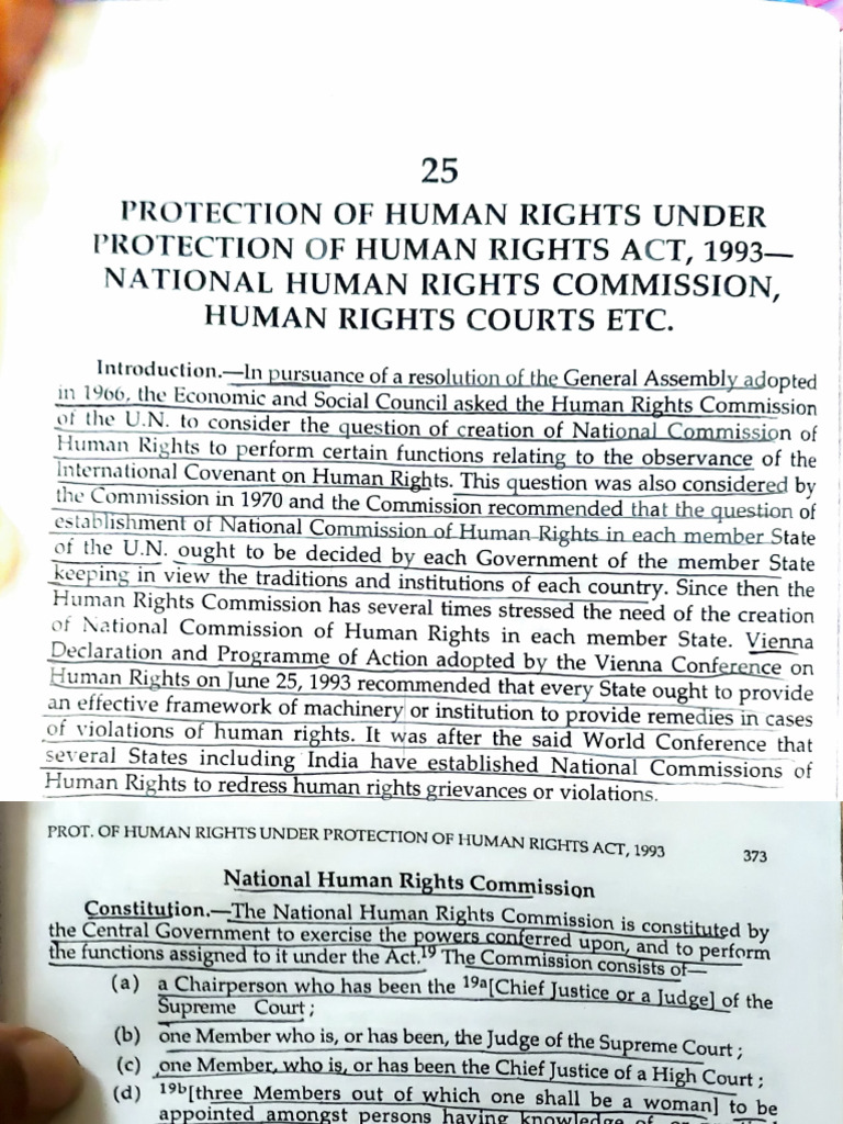 Human Rights Unit 4 | PDF