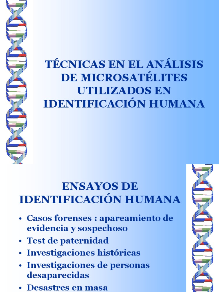 Tecnicas en el analisis de microsatelites utilizados en identificación ...
