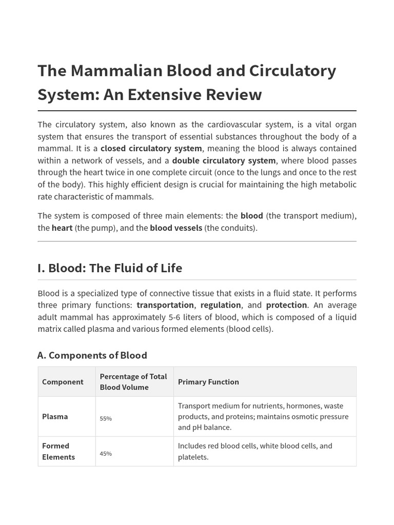 Circulatory System Mammals | PDF | Heart Valve | Heart