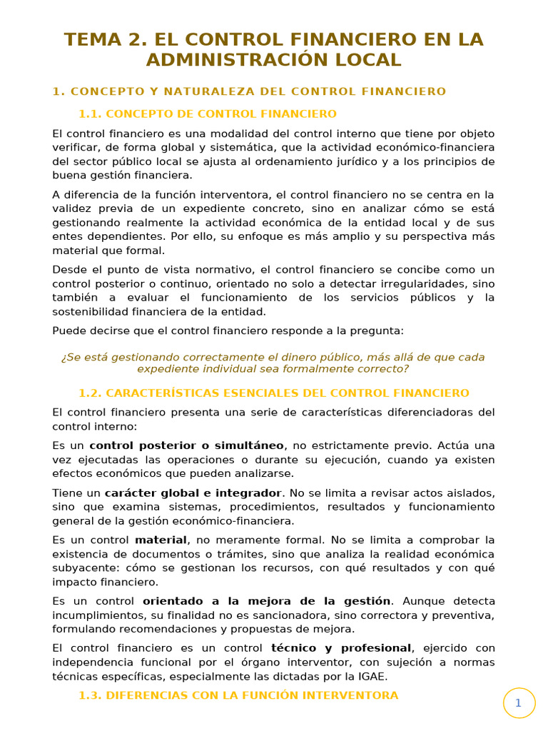 Control Interno Administración Local 2 | PDF | Auditoría | Economias