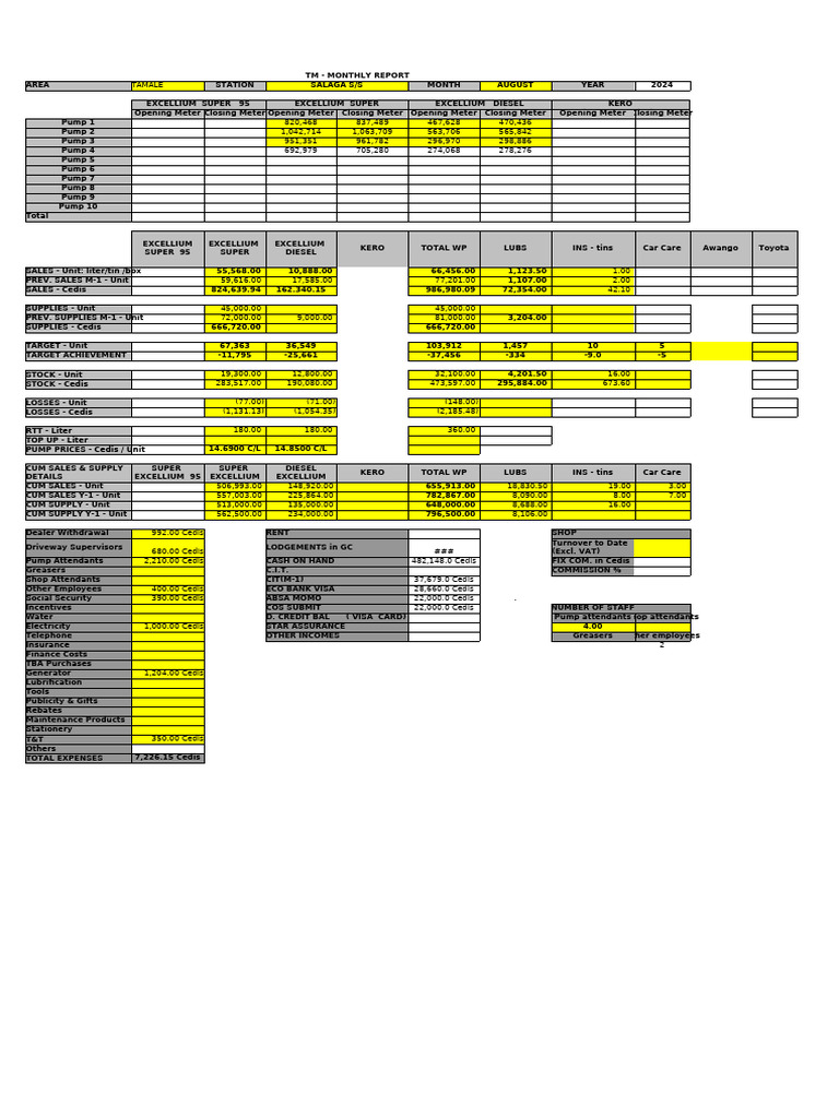 August 2024 Fuel Sales Report | PDF