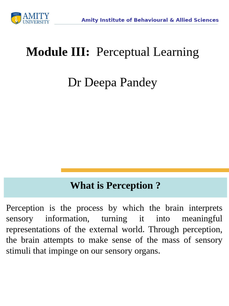 Understanding Perception and Its Stages | PDF | Perception ...