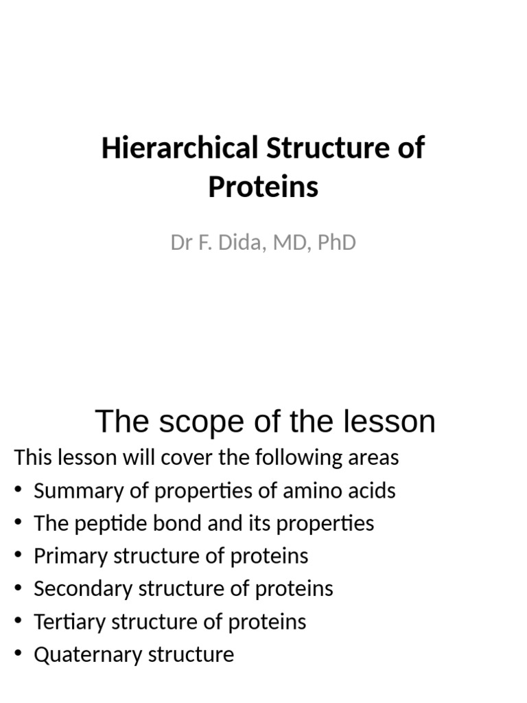 Hierarchical Structure of Proteins, BC 100 | PDF | Protein Structure ...