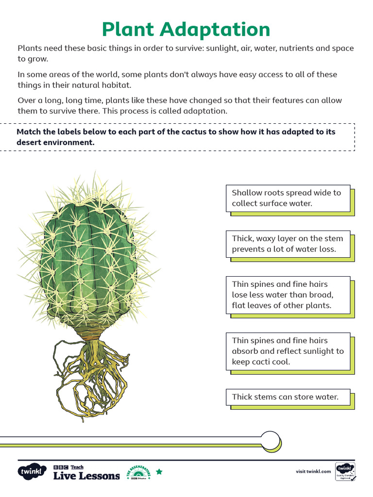 Green Planet Live Lesson Activity Sheets 9 11 | PDF