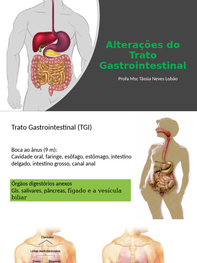 Aula Alterações Do Trato Gastrointestinal | PDF | Bile | Fígado