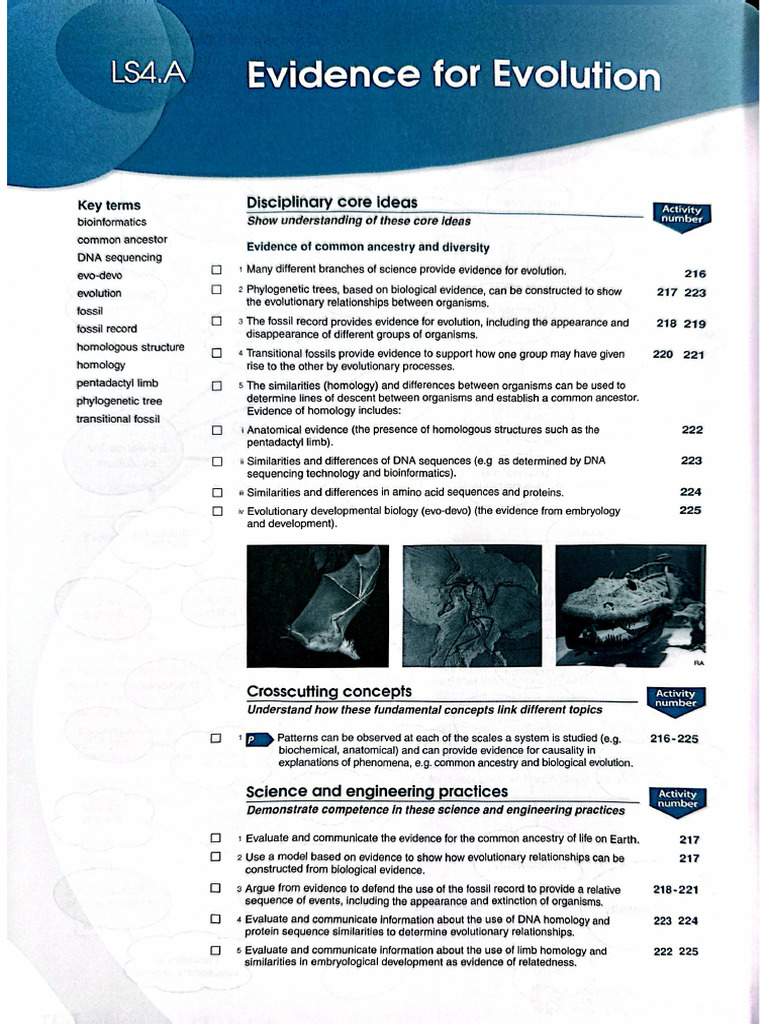 Biozone Adaptations Worksheets | PDF