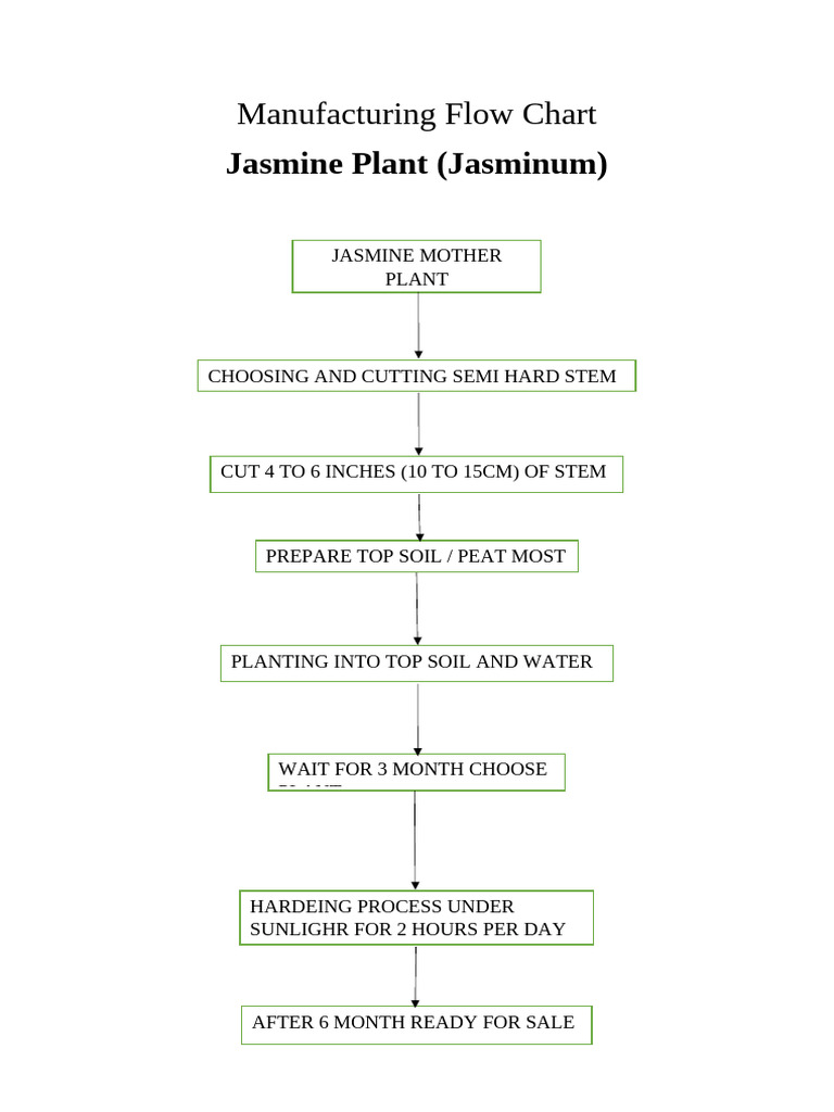 Jasmine Plant Manufacturing Flow Chart | PDF