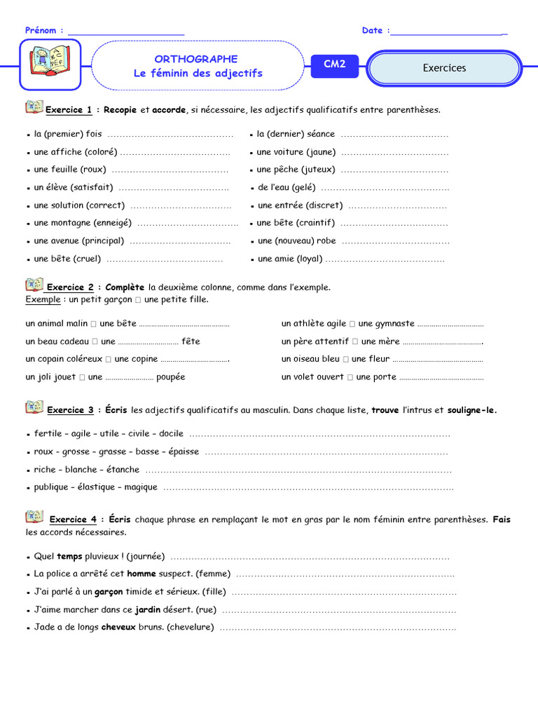7 - Le Feminin Des Adjectifs | PDF