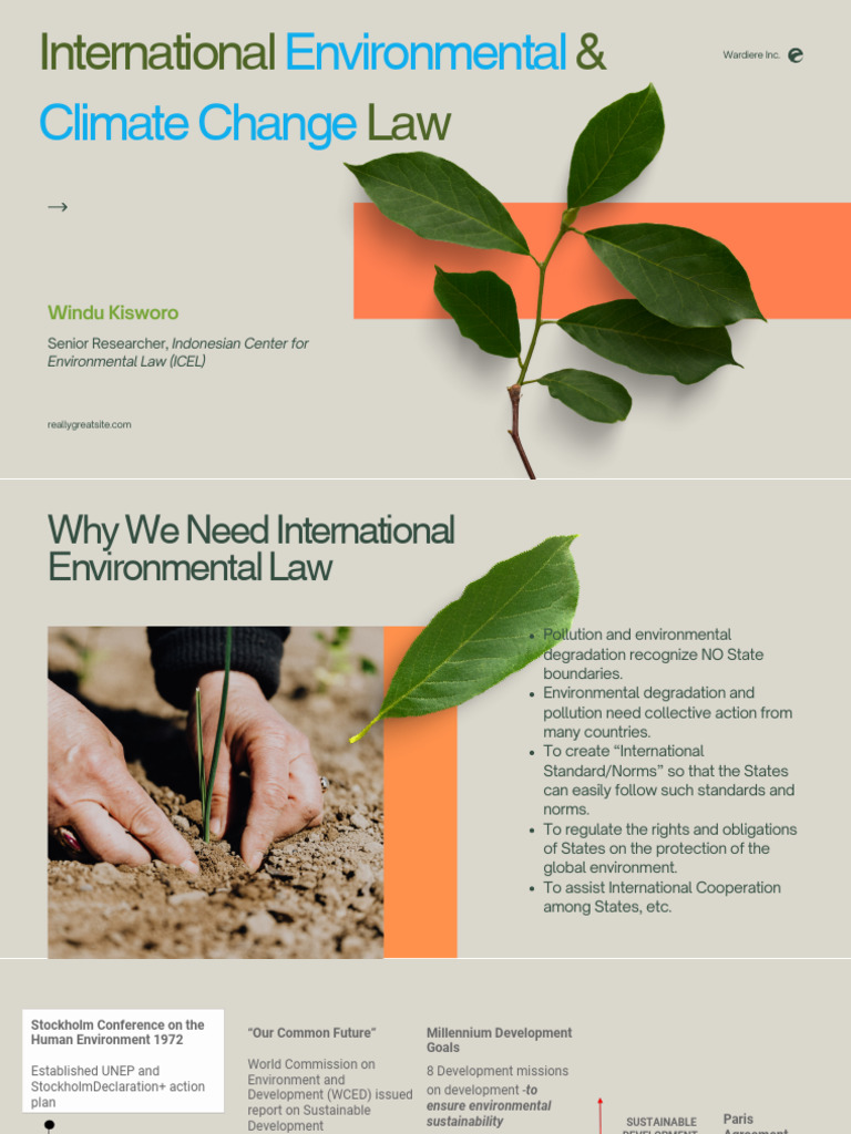 International Environmental Law Overview | PDF | United Nations ...