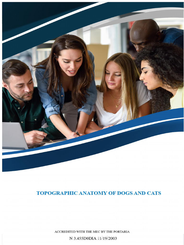 TOPOGRAPHIC ANATOMY OF DOGS AND CATS | PDF | Medical Ultrasound ...