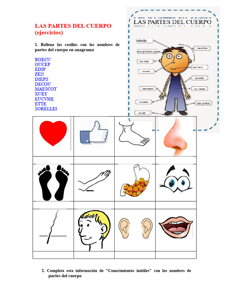 Las Partes Del Cuerpo | PDF