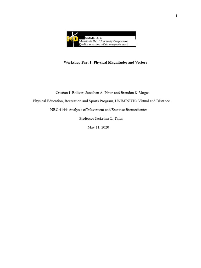 Workshop Part 1 - physical magnitudes and vectors | PDF | Euclidean ...