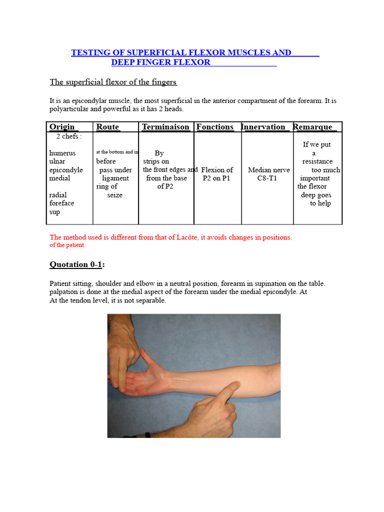 Testing of The Superficial Flexor and Deep Flexor Muscles of The ...
