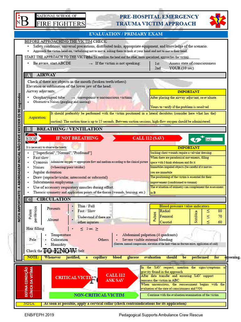 Grids Victim Approach Trauma 2019 (V2) | PDF | Medical Specialties ...