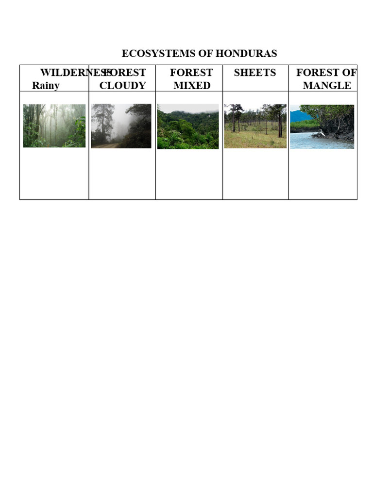 ECOSYSTEMS OF HONDURAS | PDF