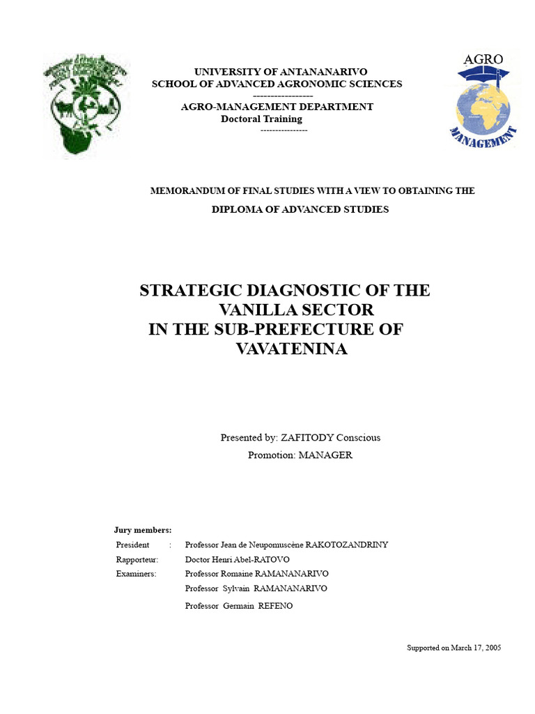 Diagnosis of the vanilla sector | PDF | Net Present Value | Internal ...