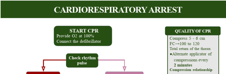 Poster Summary of CPR - ACLS 2020 | PDF