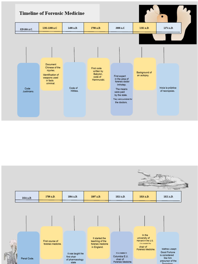 History of Forensic Medicine Timeline | PDF | Forensic Science ...