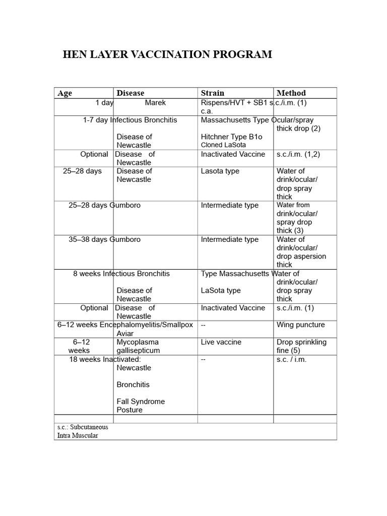 Layer Vaccination Schedule Guide | PDF | Vaccines | Vaccination