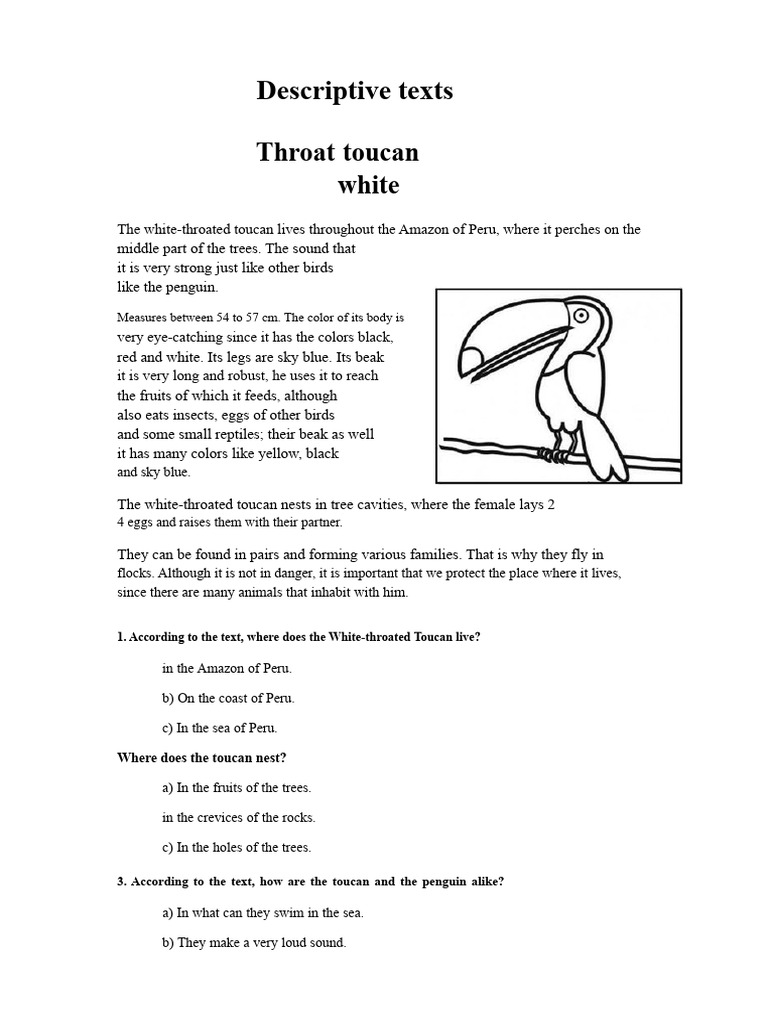 Descriptive Texts Primary Reading Comprehension MInt | PDF | Bears ...