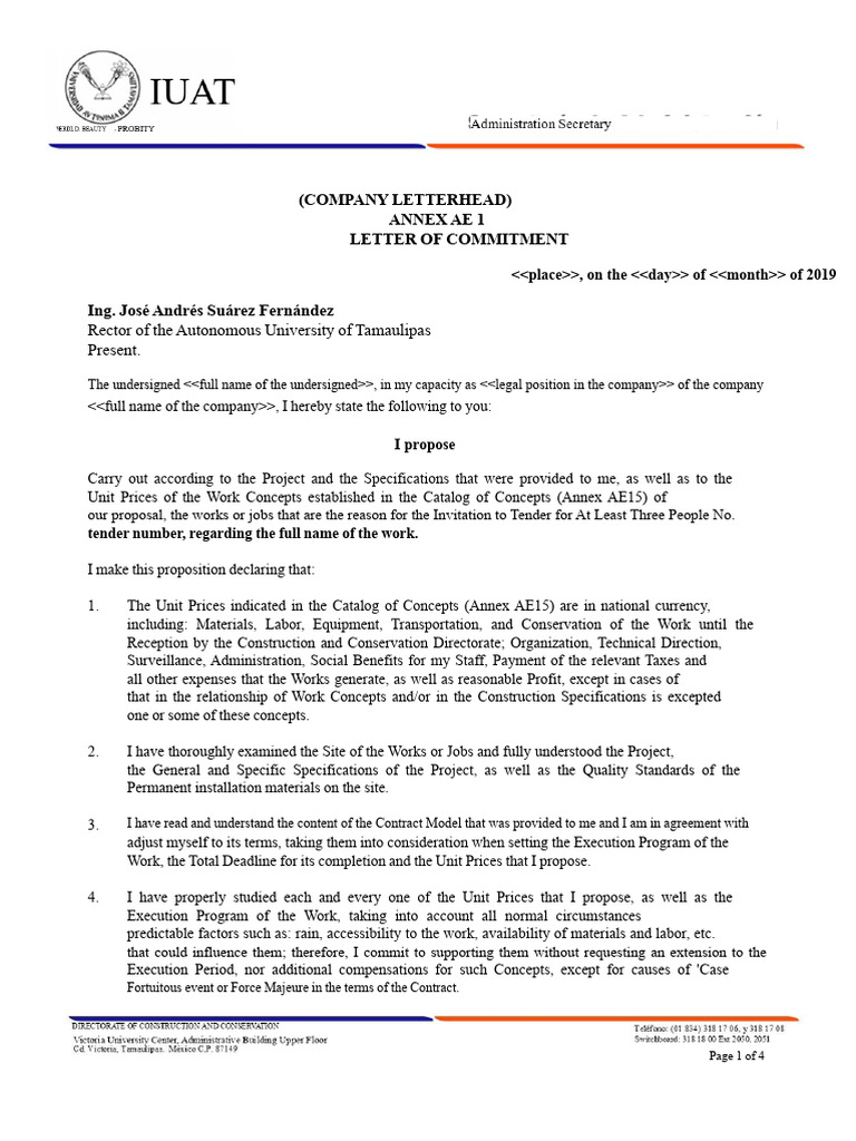AE1 Commitment Letter | PDF | Securitization | Bonds (Finance)