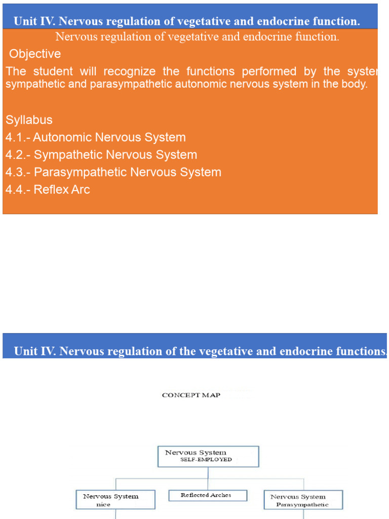 Class 8 Nervous Regulation of Vegetative and Endocrine Function. | PDF ...
