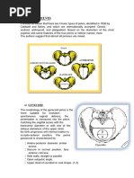 Four Types of Pelvis Explained | PDF | Pelvis | Anatomy