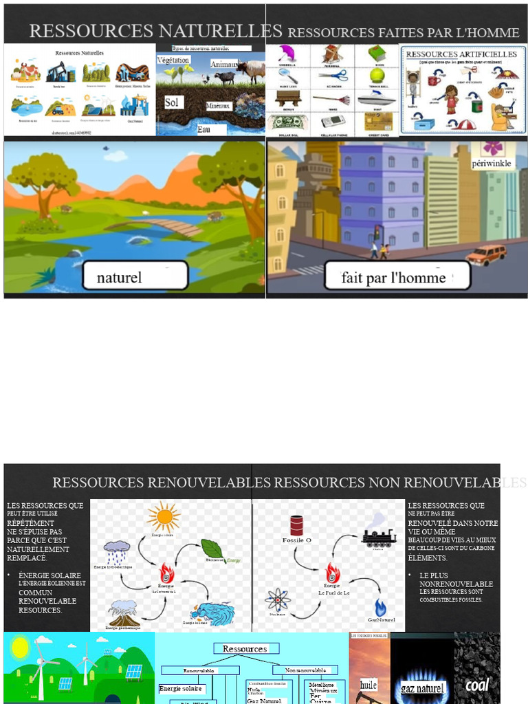Types de ressources naturelles et humaines | PDF