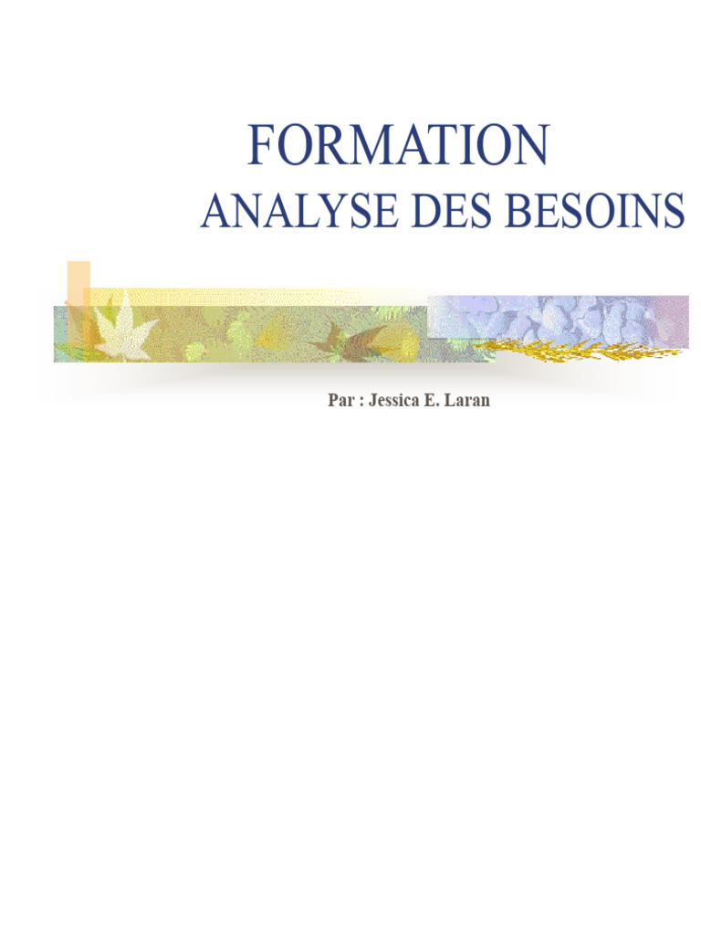 Analyse des Besoins en Formation | PDF | Apprentissage