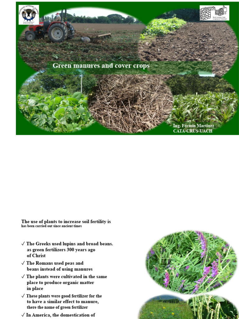 Green Manures and Cover Crops Guide | PDF | Botany | Agriculture