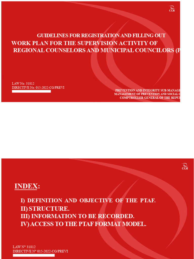 PTAF Guidelines for Councilors' Supervision | PDF