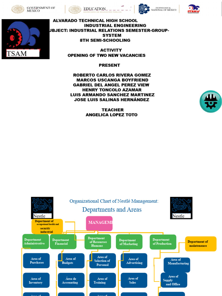 Nestle Organizational Chart | PDF | Occupational Safety And Health ...