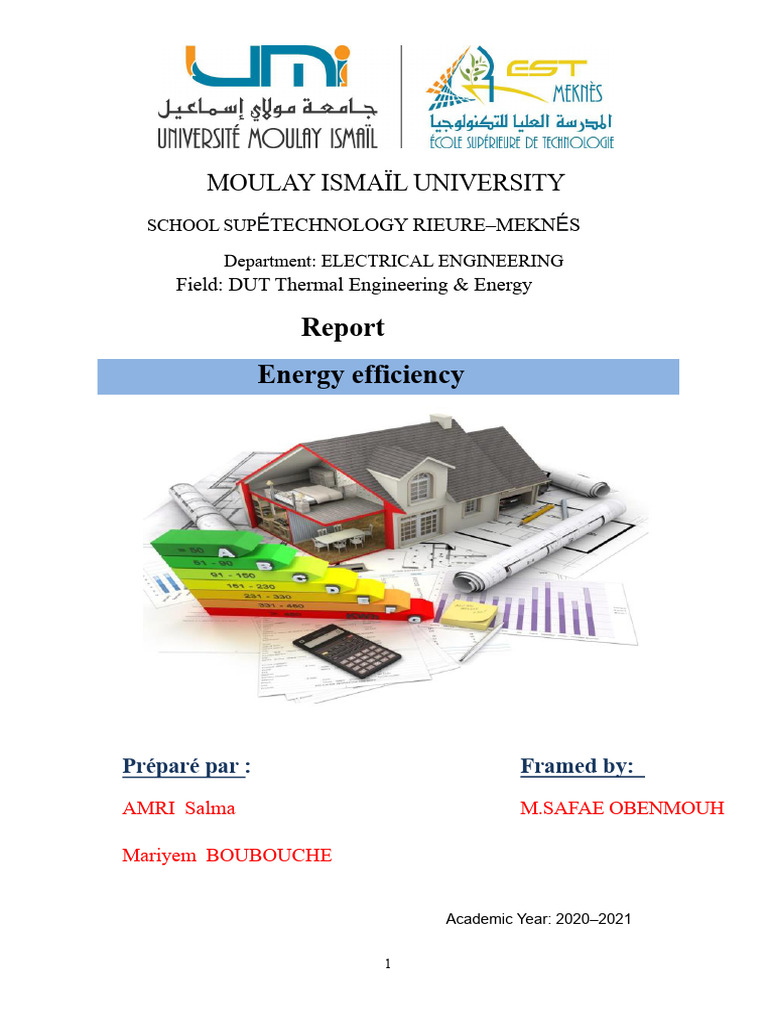 energy efficiency report | PDF | Thermal Insulation | Building Insulation
