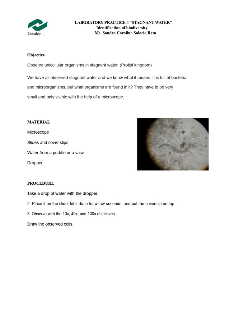 Practice 4 Stagnant Water | PDF