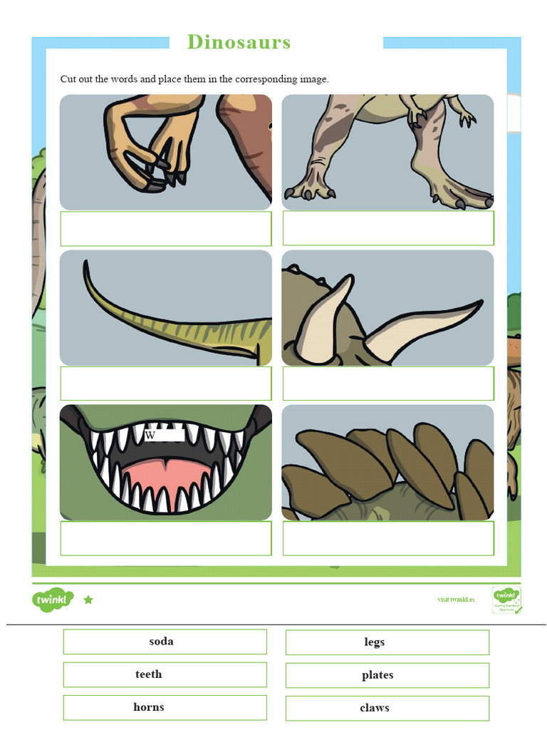 Reading Comprehension Dinosaur | PDF | Dinosaurs | Reptile