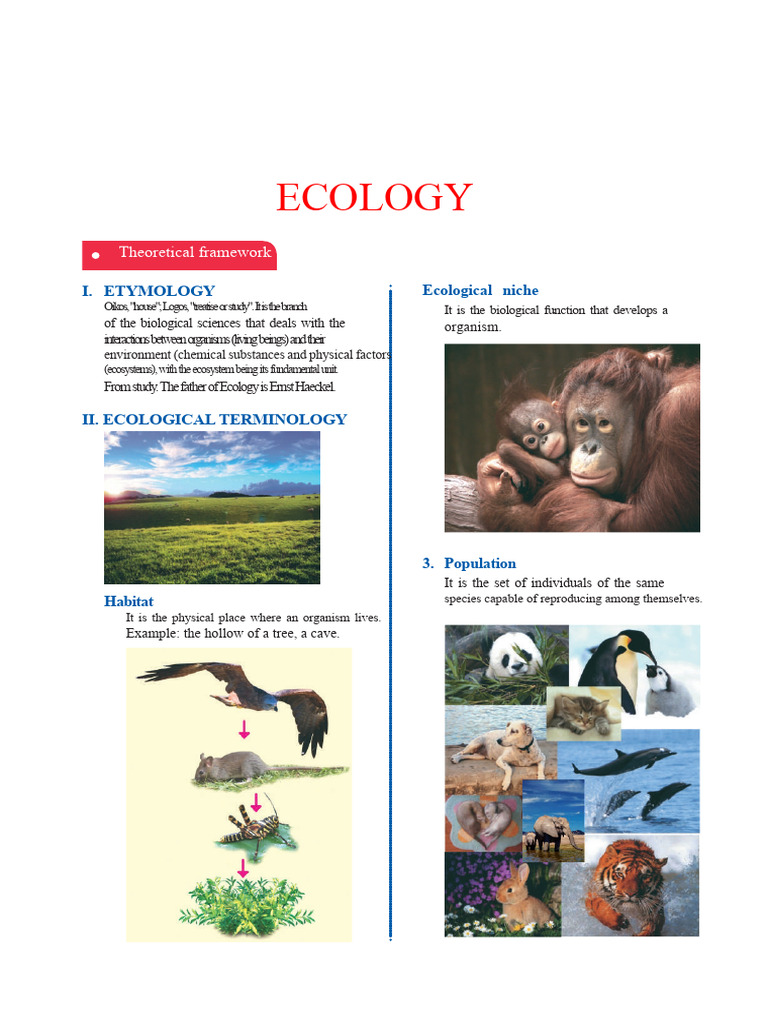 Ecology | PDF | Ecology | Ecosystem